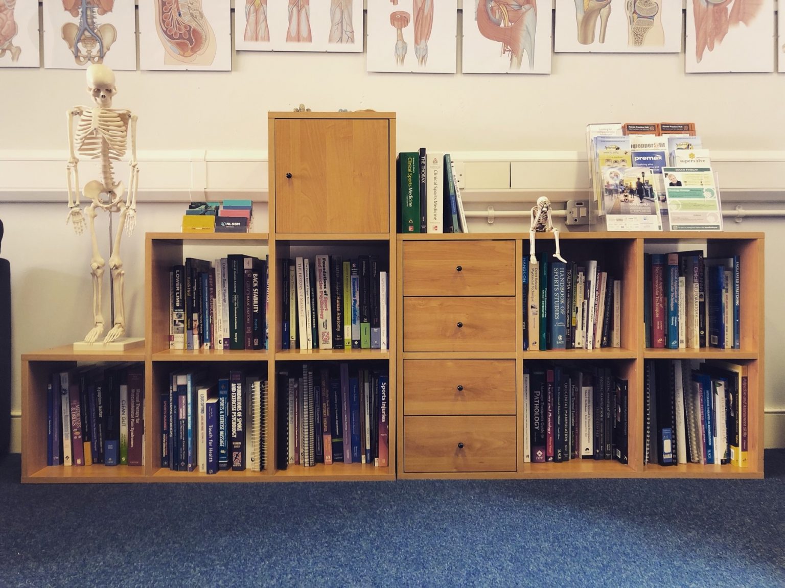 Sports Massage Course - North London - Level 5 - Beginner - CPD - NLSSM