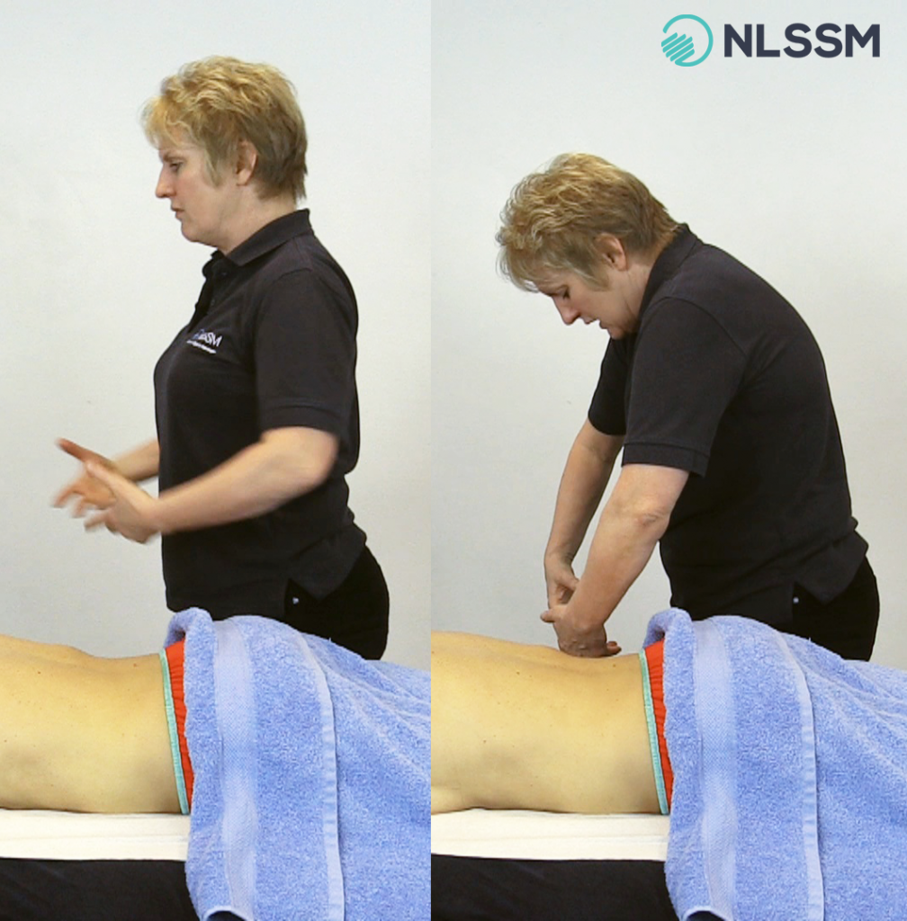 An Introduction to Body Mechanics - NLSSM